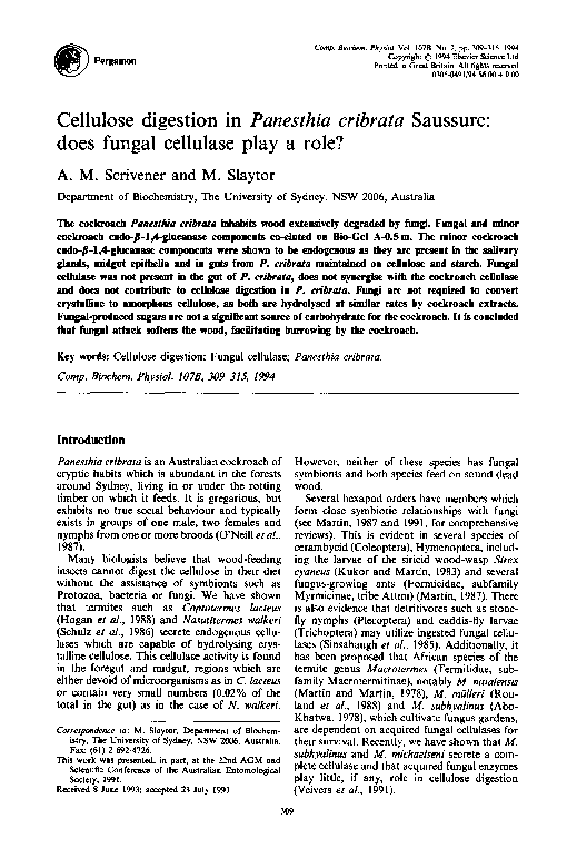(PDF) Cellulose digestion in Panesthia cribrata Saussure: does fungal ...