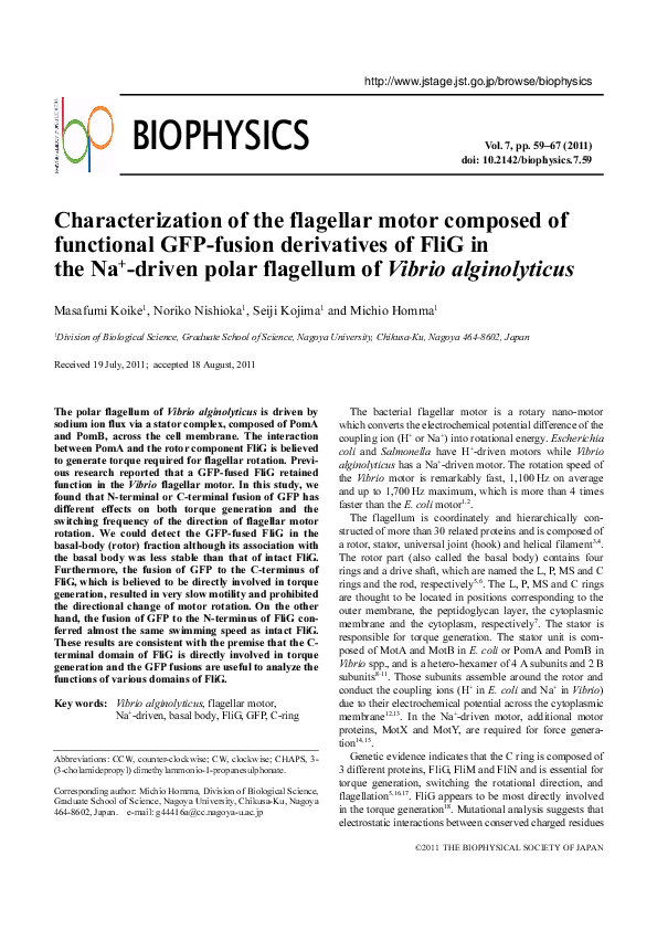 (PDF) Characterization of the flagellar motor composed of functional ...