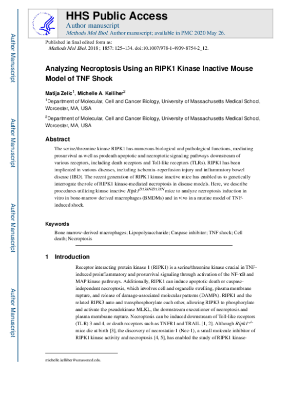 (PDF) Analyzing Necroptosis Using an RIPK1 Kinase Inactive Mouse Model ...
