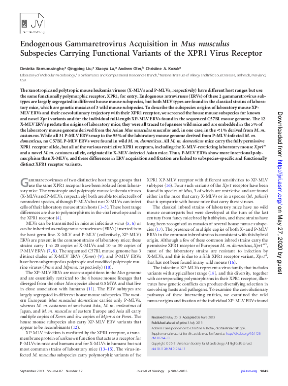 (PDF) Endogenous Gammaretrovirus Acquisition in Mus musculus Subspecies ...