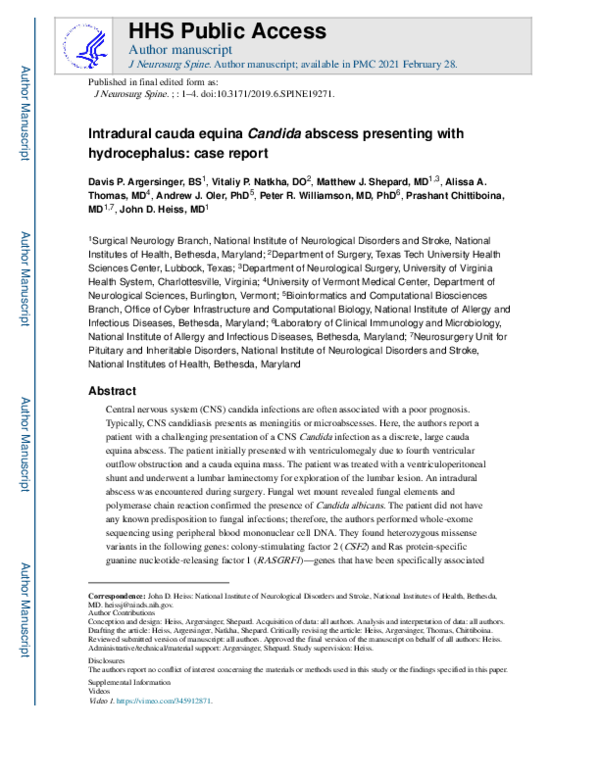 (PDF) Intradural cauda equina Candida abscess presenting with ...
