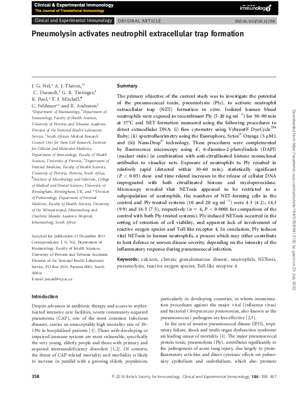 (PDF) Pneumolysin activates neutrophil extracellular trap formation