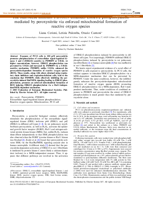 (PDF) The Raf/MEK inhibitor PD98059 enhances ERK1/2 phosphorylation ...