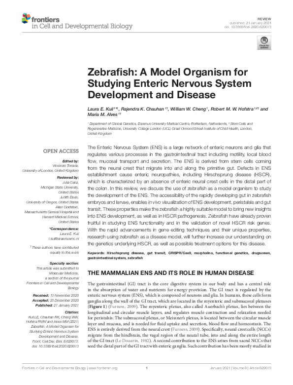 (PDF) Zebrafish: A Model Organism for Studying Enteric Nervous System ...