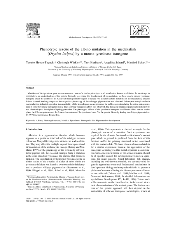 (PDF) Phenotypic rescue of the albino mutation in the medakafish ...