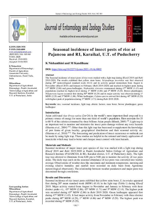 (PDF) Seasonal incidence of insect pests of rice at Pajancoa and RI ...