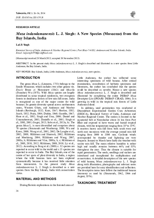(PDF) Musa indandamanensis L. J. Singh: A New Species (Musaceae) from ...