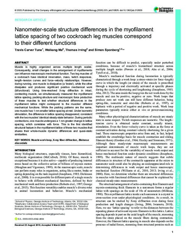 (PDF) Myofilament Spacing and Cockroach Muscle Function