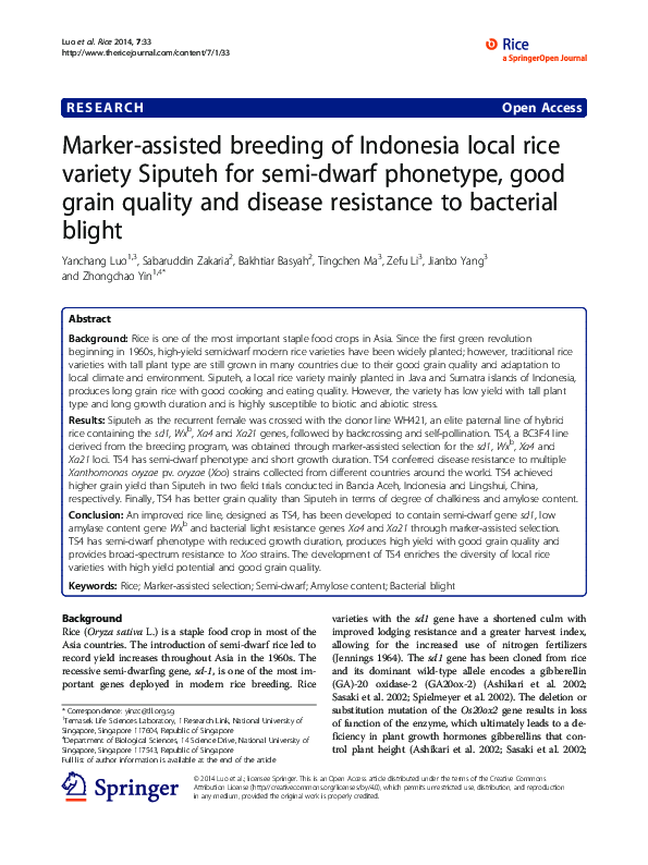 (PDF) Marker-assisted breeding of Indonesia local rice variety Siputeh ...
