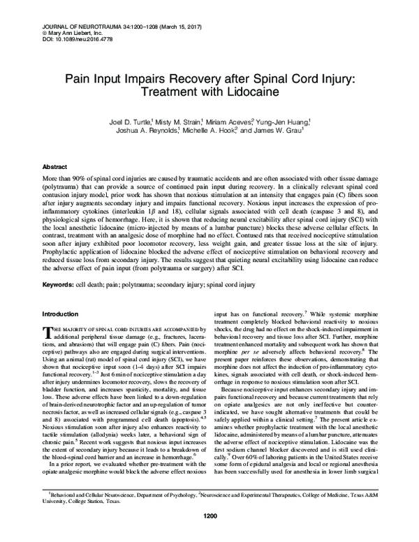 (PDF) Pain Input Impairs Recovery after Spinal Cord Injury: Treatment ...