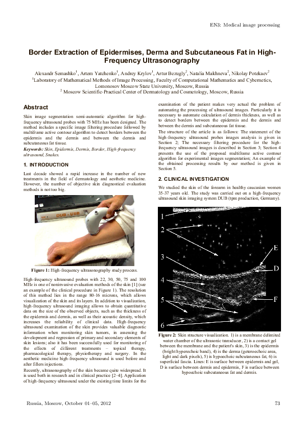 (PDF) Border Extraction of Epidermises, Derma and Subcutaneous Fat in ...