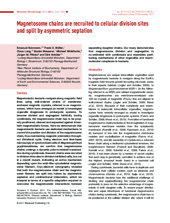 (PDF) Magnetosome chains are recruited to cellular division sites and ...