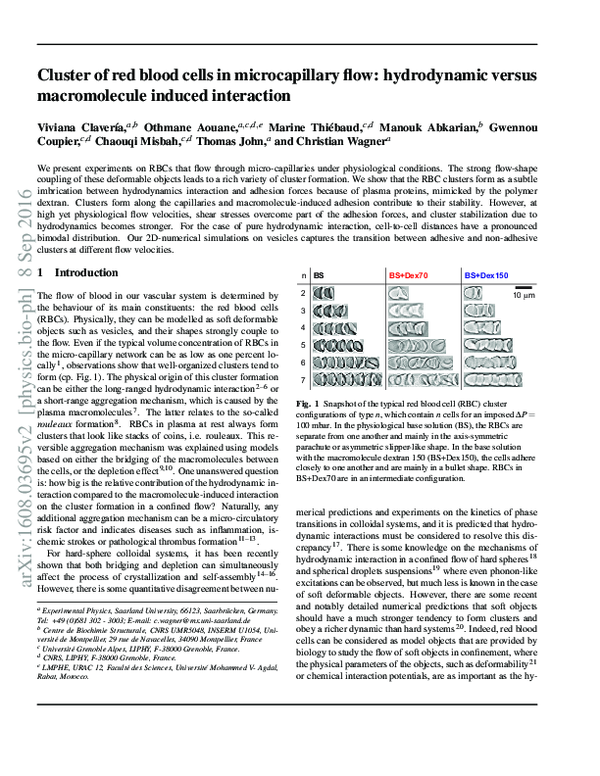 (PDF) Clusters of red blood cells in microcapillary flow: hydrodynamic ...