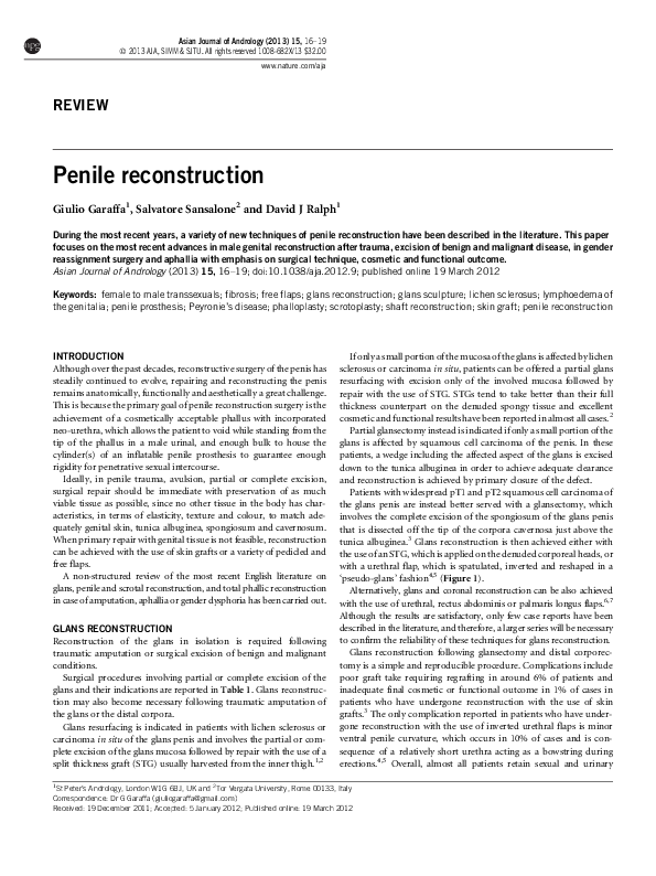 Pdf Penile Reconstruction