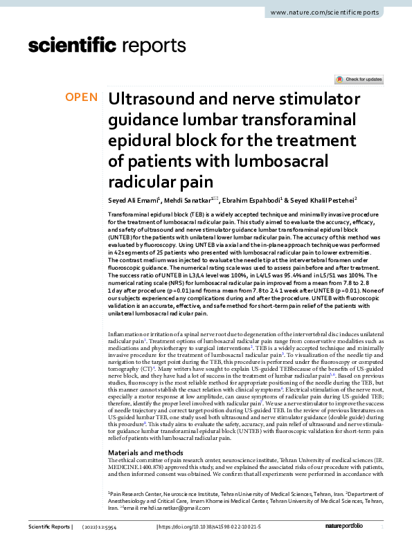 (PDF) Ultrasound and nerve stimulator guidance lumbar transforaminal ...
