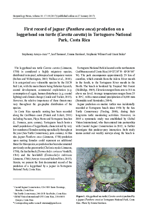(PDF) First record of jaguar ( Panthera onca ) predation on a ...