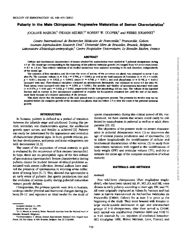 (PDF) Puberty in the Male Chimpanzee: Progressive Maturation of Semen ...