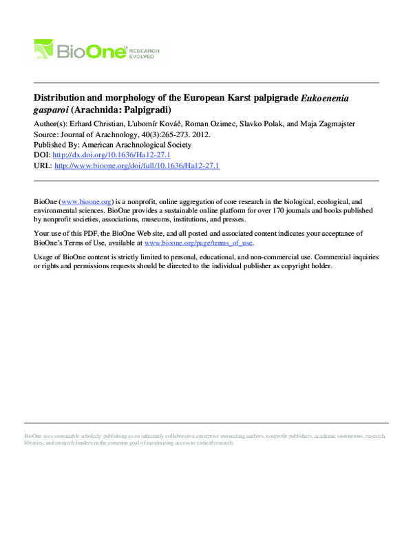 (PDF) Distribution and morphology of the European Karst palpigrade ...