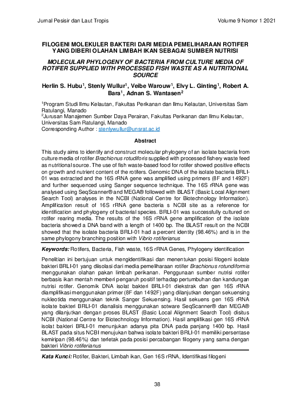 (PDF) Filogeni Molekuler Bakteri Dari Media Pemeliharaan Rotifer Yang ...