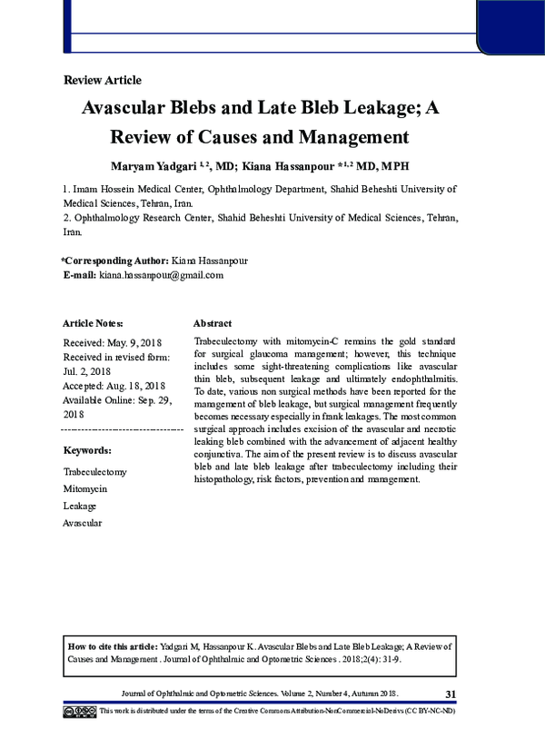 (PDF) Avascular Blebs and Late Bleb Leakage; A Review of Causes and ...