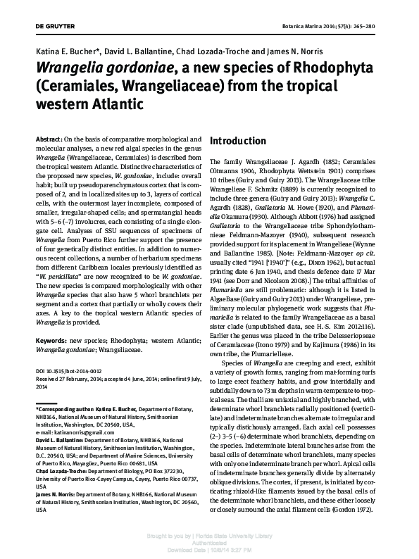 (PDF) Wrangelia gordoniae, a new species of Rhodophyta (Ceramiales ...