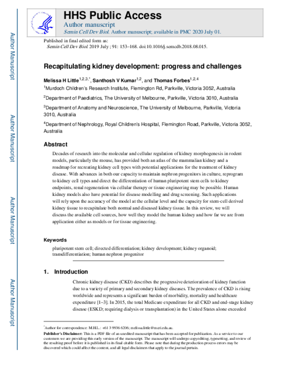 (PDF) Recapitulating kidney development: progress and challenges