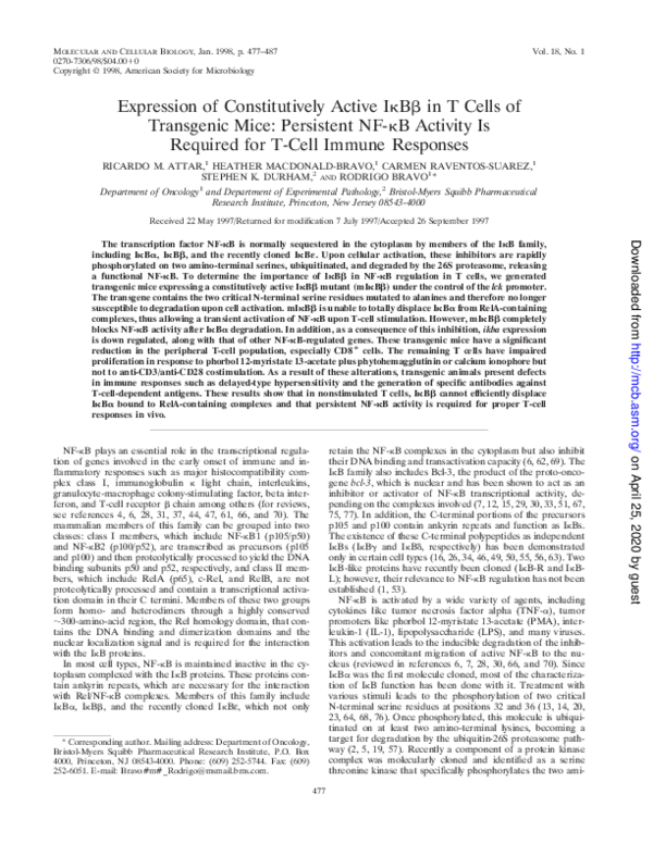 (PDF) Expression of Constitutively Active IκBβ in T Cells of Transgenic ...