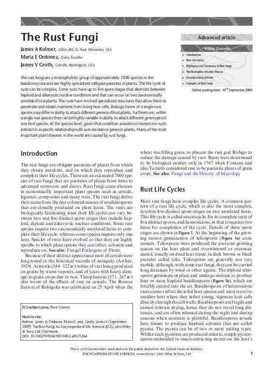 (PDF) The Rust Fungi
