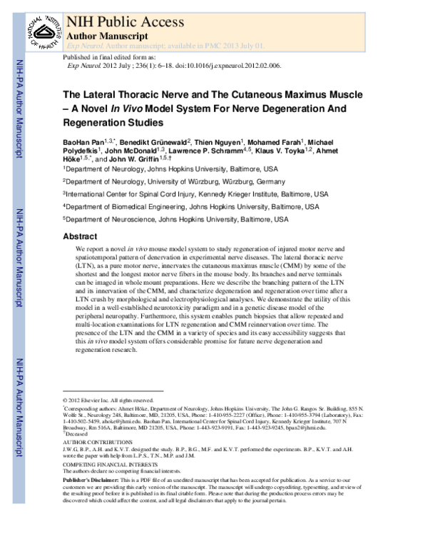 The lateral thoracic nerve and the cutaneous maximus muscle—A novel in ...