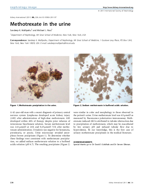 (PDF) Methotrexate in the urine
