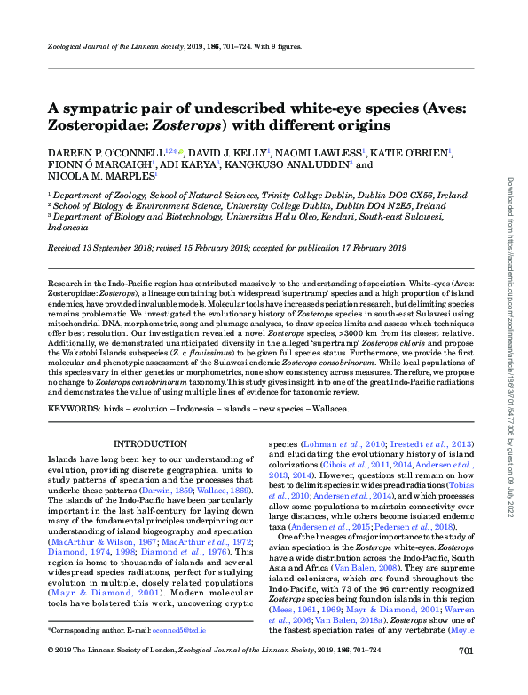 (PDF) A sympatric pair of undescribed white-eye species (Aves ...