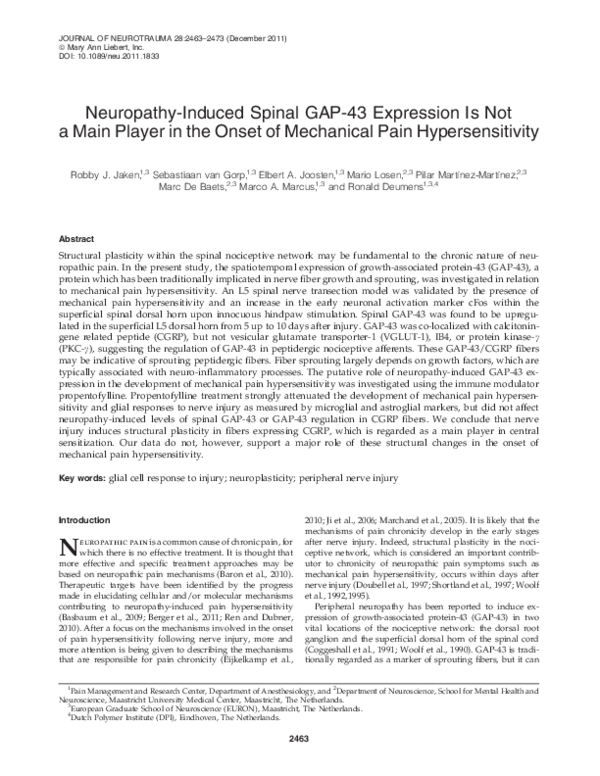 (PDF) GAP-43's Limited Role in Pain Hypersensitivity