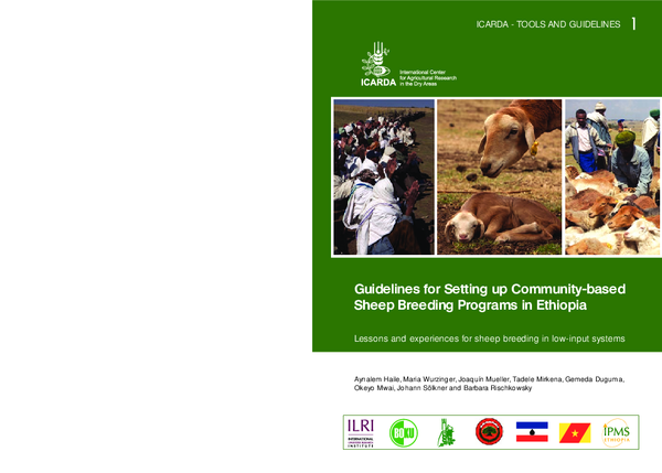 (PDF) ICARDA- TOOLS AND GUIDELINES Lessons and experiences for sheep ...