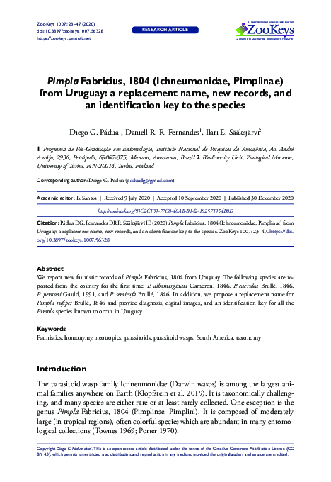 (PDF) Pimpla Fabricius, 1804 (Ichneumonidae, Pimplinae) from Uruguay: a ...