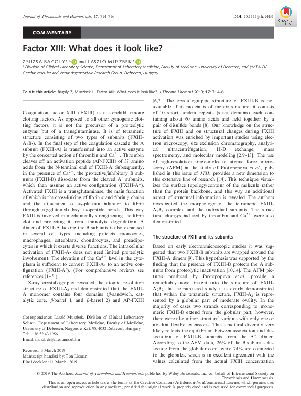 (PDF) Factor XIII: What does it look like?