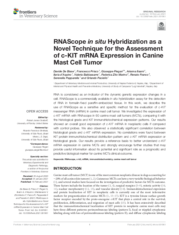(PDF) RNAScope in situ Hybridization as a Novel Technique for the ...