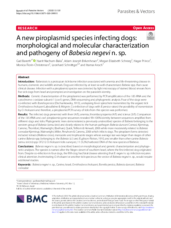 (PDF) A new piroplasmid species infecting dogs: morphological and ...