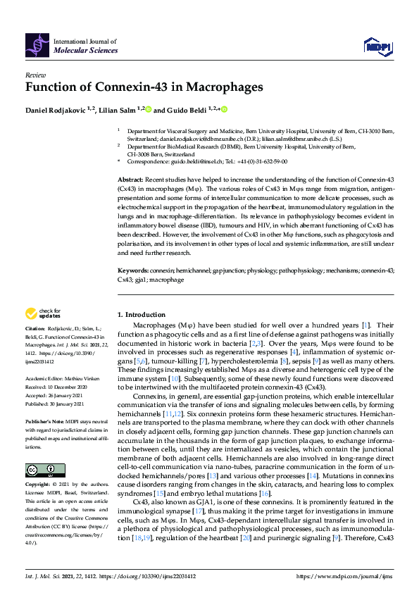 (PDF) Function of Connexin-43 in Macrophages