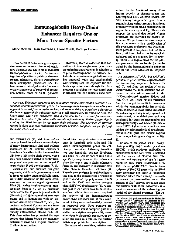 (PDF) Immunoglobulin Heavy-Chain Enhancer Requires One or More Tissue-Specific Factors