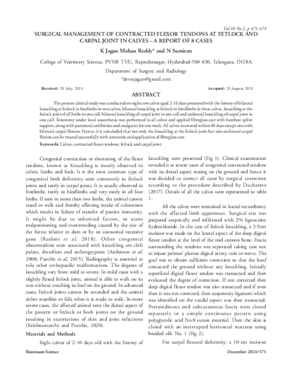 (PDF) SURGICAL MANAGEMENT OF CONTRACTED FLEXOR TENDONS AT FETLOCK AND ...