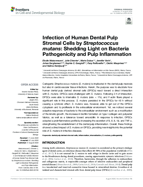 (PDF) Infection of Human Dental Pulp Stromal Cells by Streptococcus ...