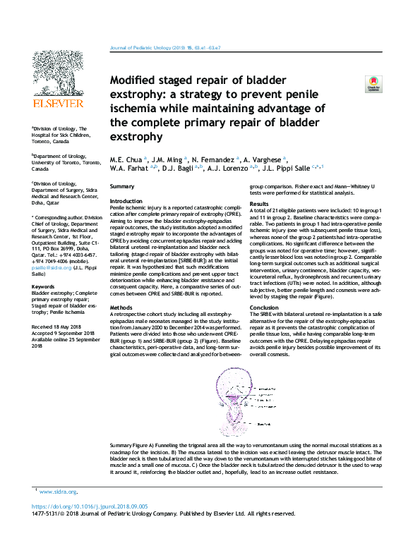 (PDF) Modified staged repair of bladder exstrophy: a strategy to ...