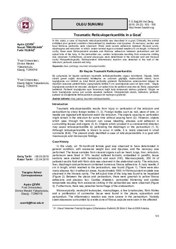 (PDF) Traumatic reticulopericarditis in a goat