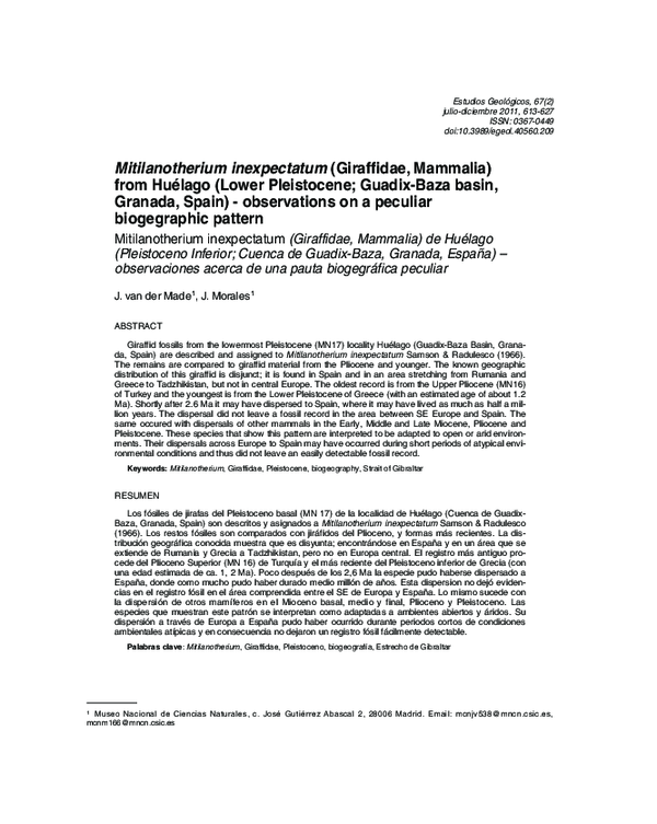 (PDF) Mitilanotherium inexpectatum (Giraffidae, Mammalia) de Huélago ...