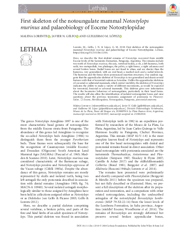(PDF) First skeleton of the notoungulate mammalNotostylops murinusand ...