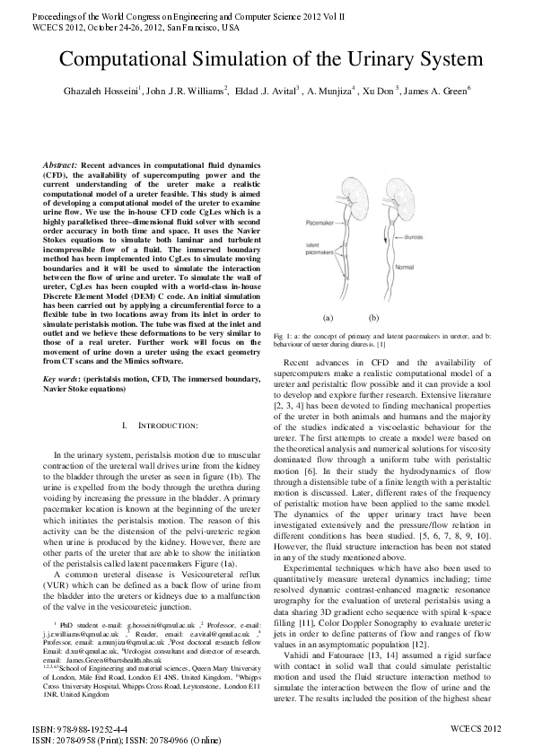 (PDF) Computational Simulation of the Urinary System
