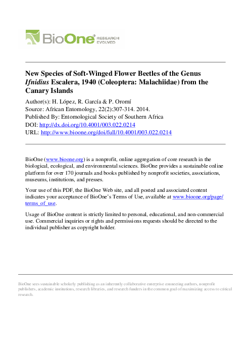 (PDF) New Species of Soft-Winged Flower Beetles of the ...