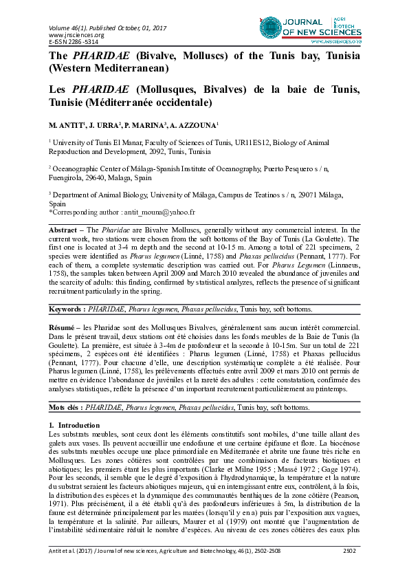 (PDF) The PHARIDAE (Bivalve, Molluscs) of the Tunis bay, Tunisia ...