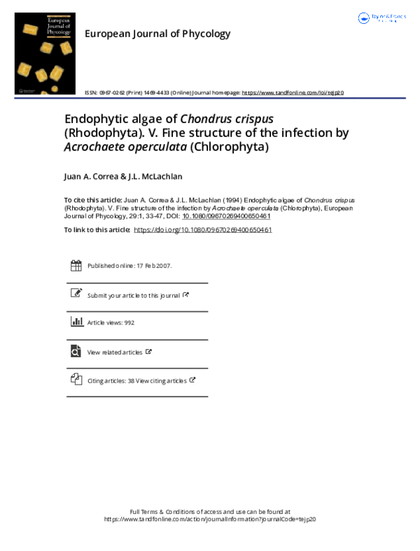 (PDF) Endophytic algae ofChondrus crispus(Rhodophyta). V. Fine ...