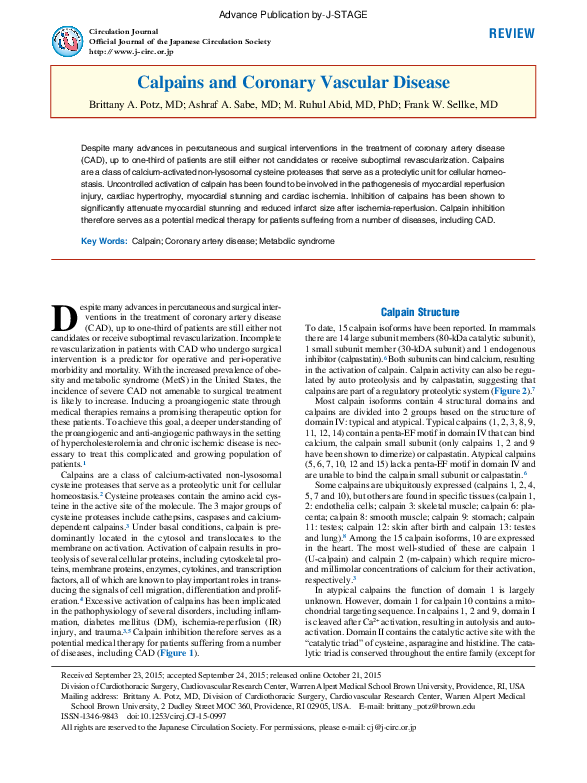 (PDF) Calpains and Coronary Vascular Disease